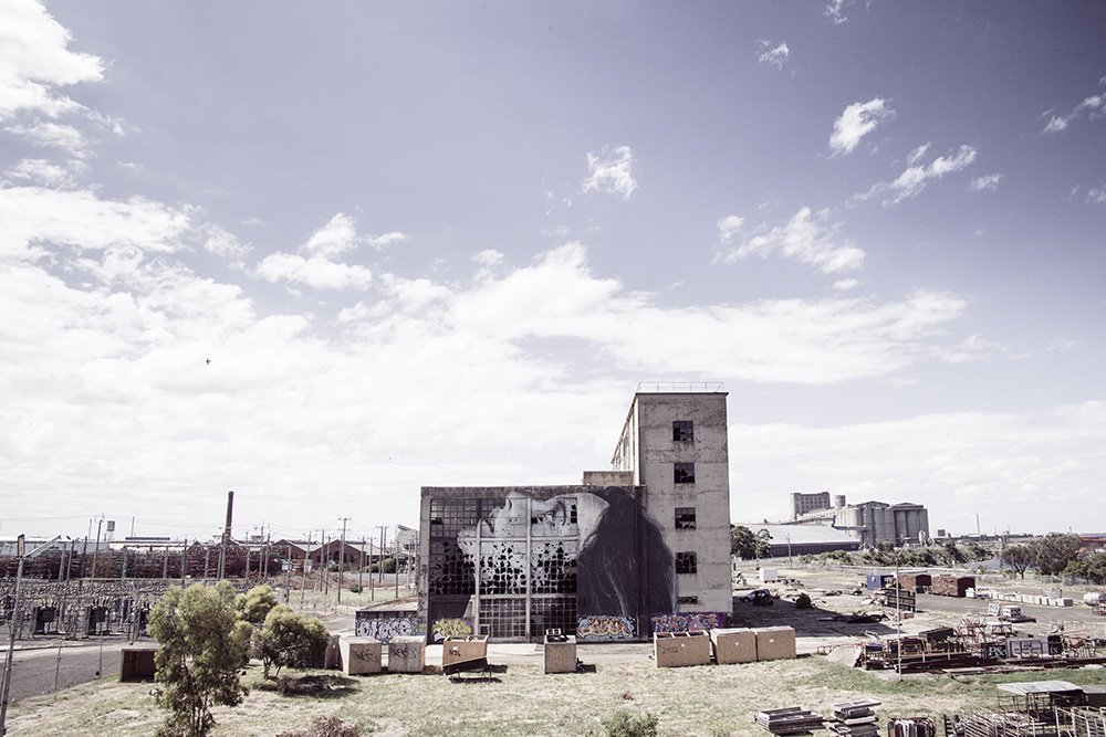 A day out—beauty & decay | Geelong Gallery