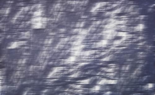 2017 Geelong acquisitive print awards | Geelong Gallery